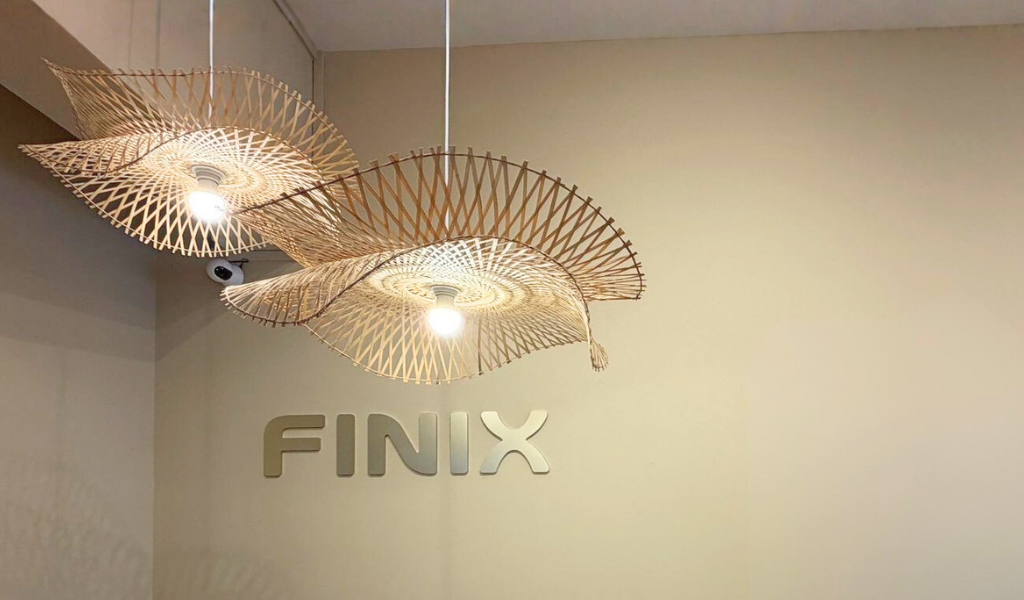 About Finix